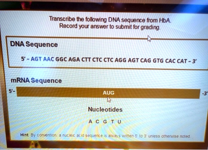 transcribe the following dna sequence from hba record your answer to submit for grading dna ...