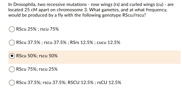 SOLVED: In Drosophila, two recessive mutations, rose wings (rs) and ... SOLVED: In Drosophila, two recessive mutations, rose wings (rs) and ...