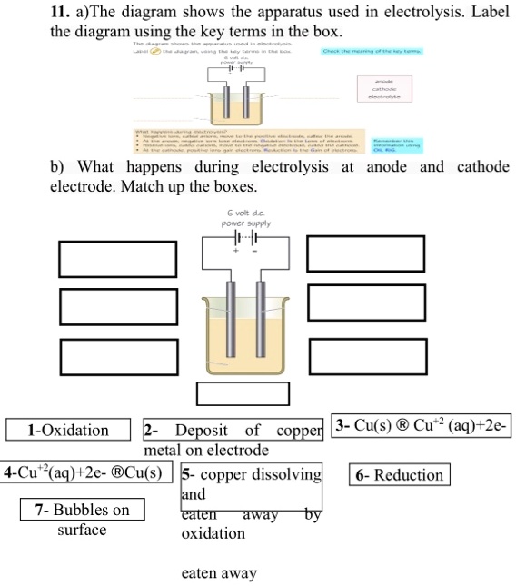 11 athe diagram shows the apparatus used electrolysis label the diagram using the key terms in ...