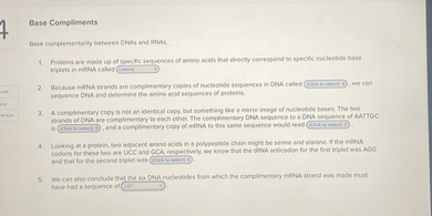 Base Compliments Este complementarty between Chus and Aras tiplets in ...