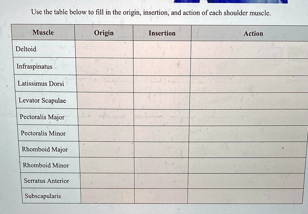SOLVED: Fill out below Use the table below to fill in the origin ...