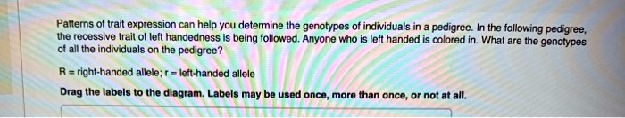 patterns of trait expression can help you determine the genotypes of individuals in a podigree ...