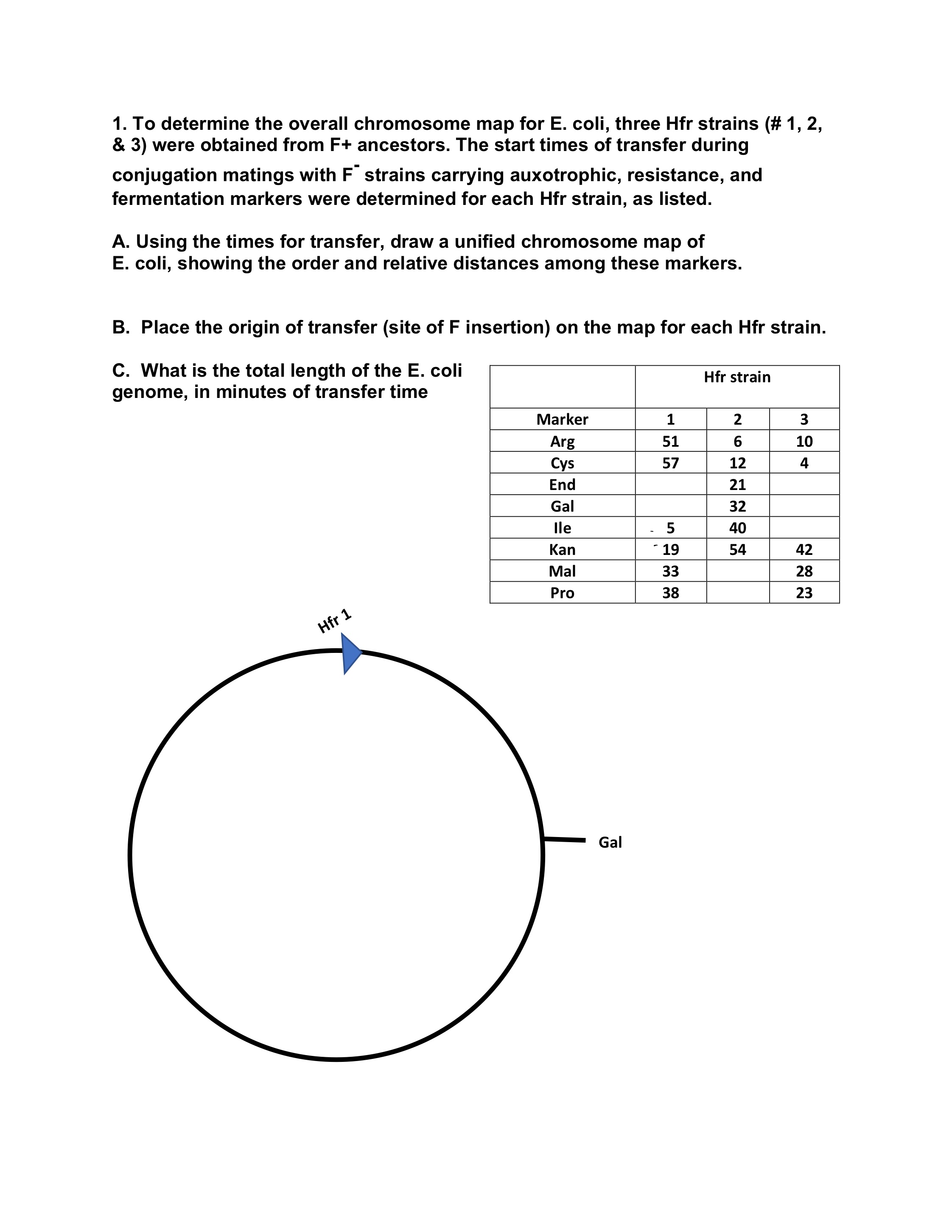 SOLVED: 1. To determine the overall chromosome map for E. coli, three ...