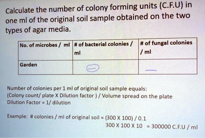 SOLVED: Calculate the number of colony forming units (CFU) in one ml of the original soil sample ...