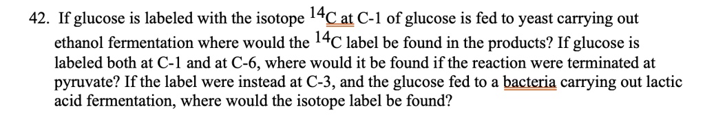 SOLVED: 42 If glucose is labeled with the isotope 14Cat C-1 of glucose is fed to yeast carrying ...