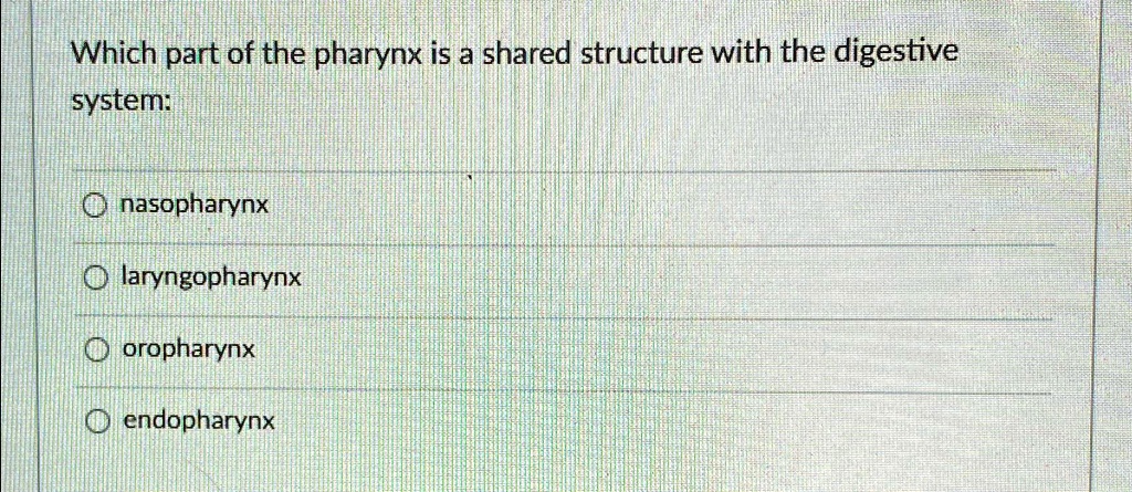 Which part of the pharynx is a shared structure with the digestive system: - nasopharynx ...