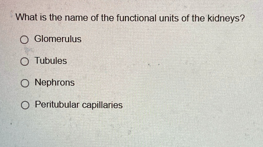 What is the name of the functional units of the kidneys? O Glomerulus O ...