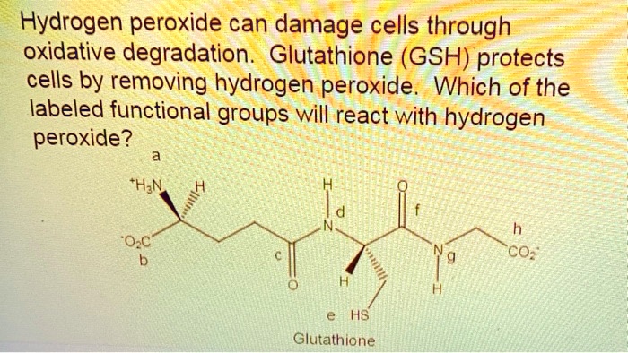 hydrogen peroxide can damage cells through oxidative degradation ...