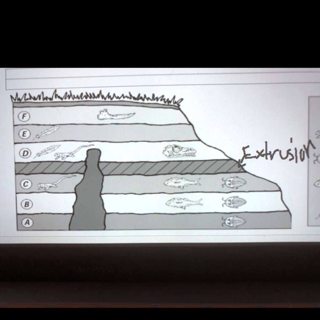 5. There is a layer of extrusive rocks in the diagram, how did it get ...