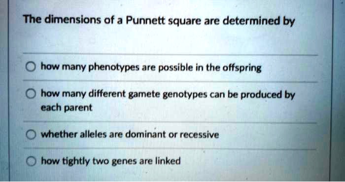 Solved The Dimensions Of A Punnett Square Are Determined By How Many 5035