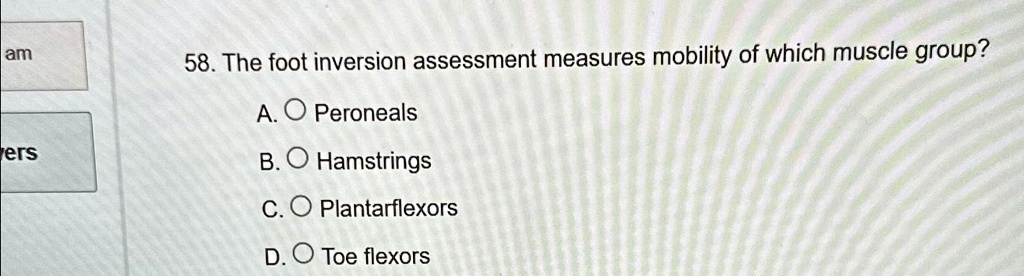 SOLVED: The foot inversion assessment measures mobility of which muscle ...