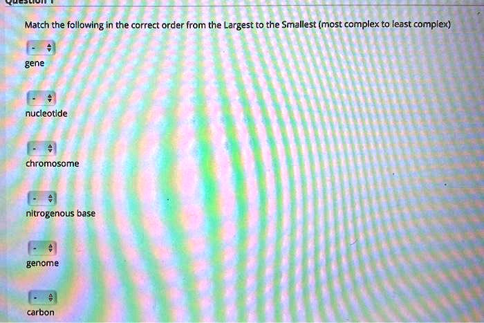 SOLVED: Match the following in the correct order from the Largest to the Smallest (most complex ...