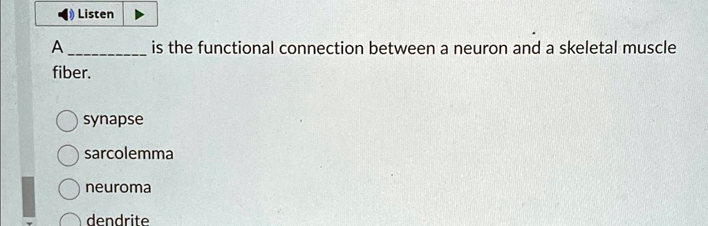 A is the functional connection between a neuron and a skeletal muscle ...