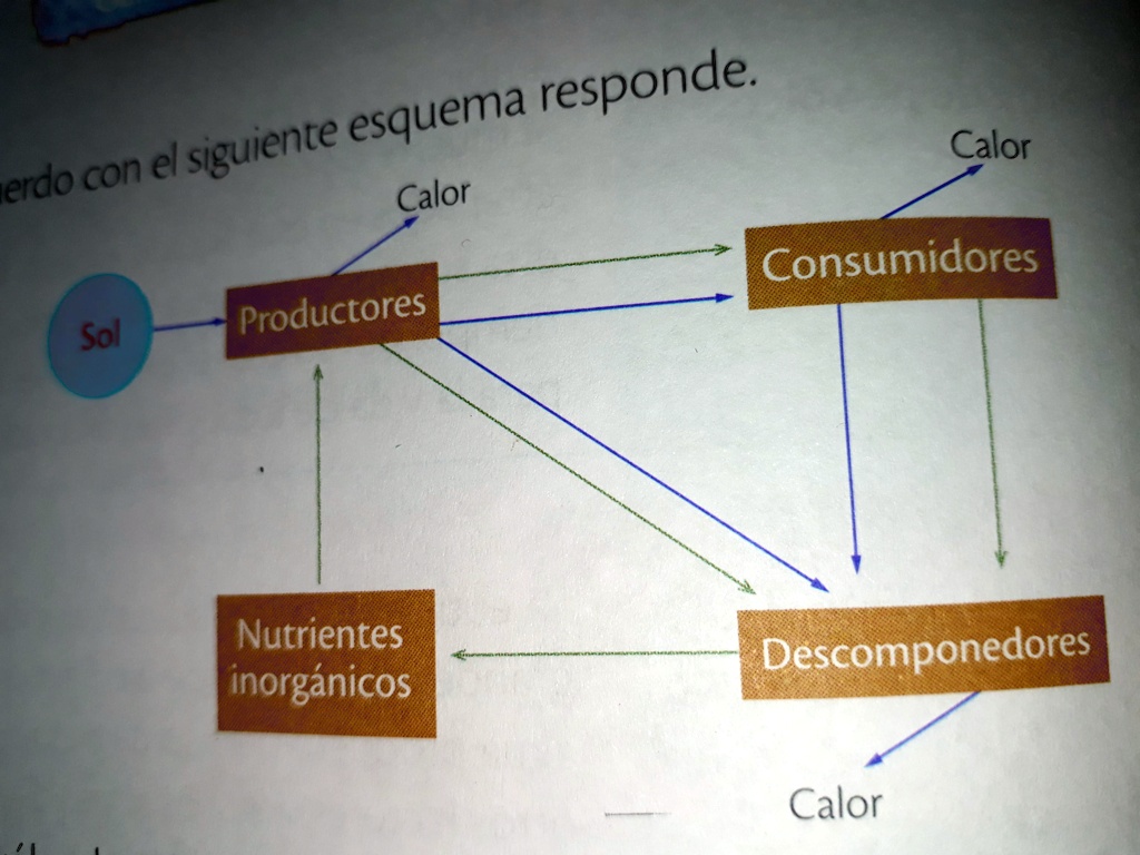 SOLVED: De acuerdo con el siguiente esquema responde. ¿Cual es la ... SOLVED: De acuerdo con el siguiente esquema responde. ¿Cual es la ...