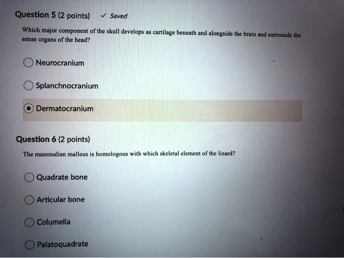 question 5 2 points saved which major component of the skull develops ...