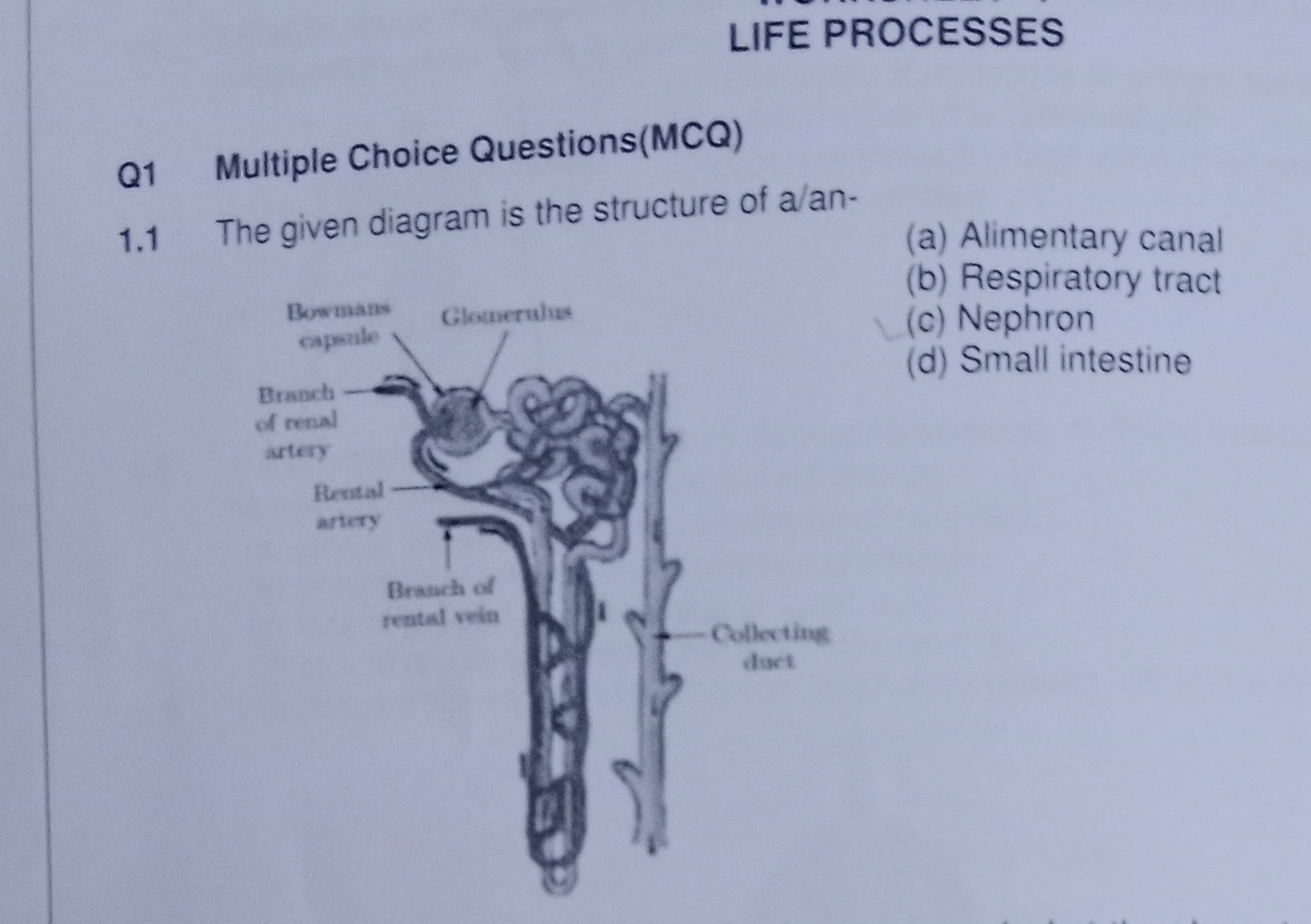 LIFE PROCESSES Q1 Multiple Choice Questions(MCQ) 1.1 The given diagram is the structure of a/an ...