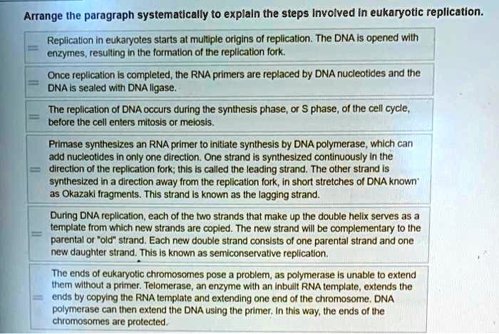 SOLVED: Replication in eukaryotes starts at multiple origins of ...