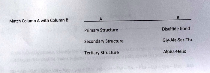 SOLVED: Match Column A with Column B: Primary Structure Disulfide bond ...