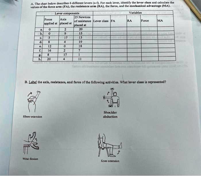 A. The chart below describes 6 different levers (a-f). For each lever, identify the lever class ...