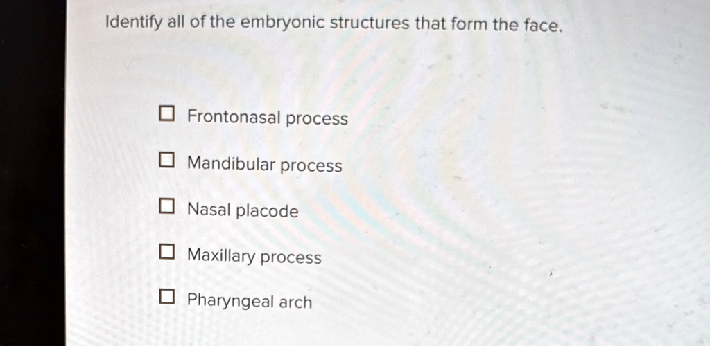 Identify all of the embryonic structures that form the face ...