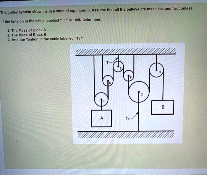 The pulley system shown is in a state of equilibrium. Assume that all ...
