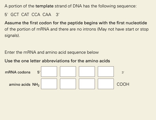 SOLVED: portion of the template strand of DNA has the following sequence: GCT CAT CCA CAA Assume ...