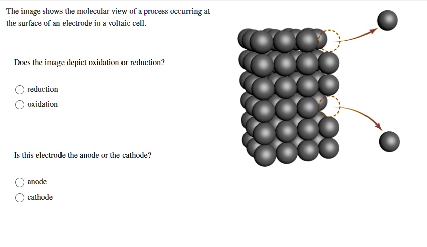 SOLVED: The image shows the molecular view of a process occurring at ...