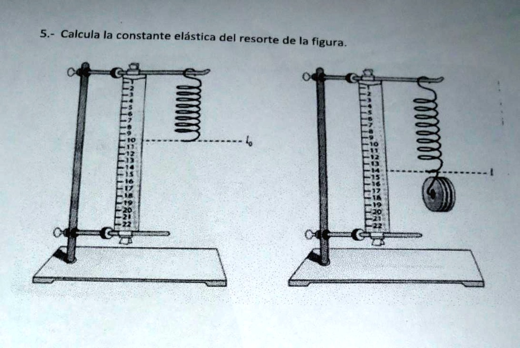 SOLVED: 5.- Calcula la constante elástica del resorte de la figura. 5 ...