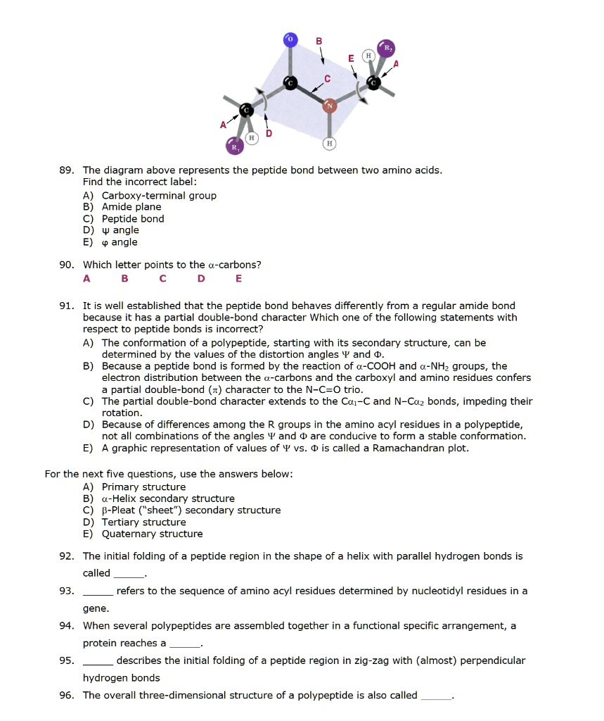 the diagram above represents the peptide bond between two amino acids ...