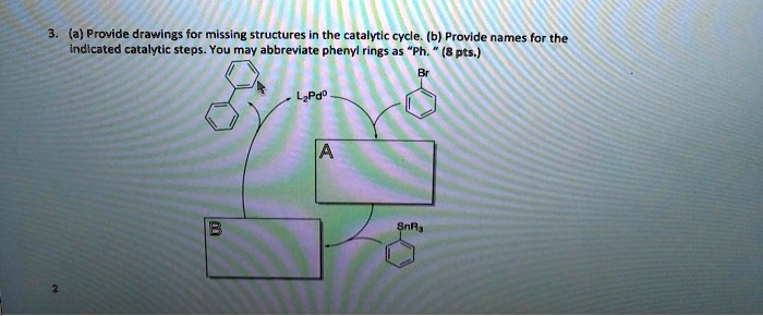 SOLVED: (a) Provide drawings for missing structures the catalytic cycle ... SOLVED: (a) Provide drawings for missing structures the catalytic cycle ...