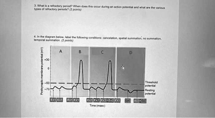 VIDEO solution: What is a refractory period? When does this occur ...