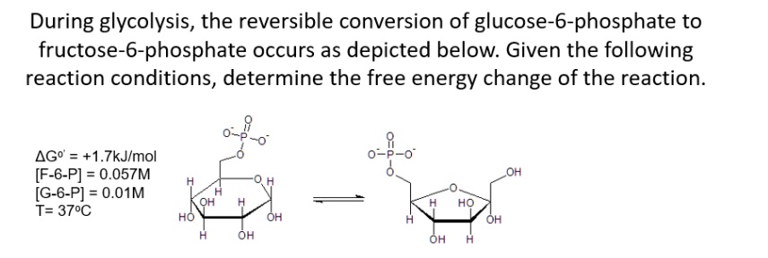 During Glycolysis The Reversible Conversion Of Glucose 6 Phosphate To Fructose 6 Phosphate