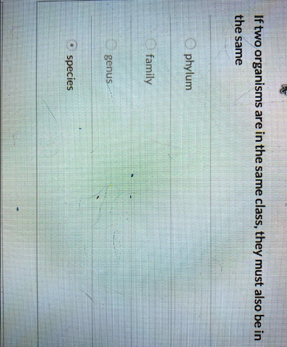 SOLVED: In phylum organisms, if they are in the same class, they belong.