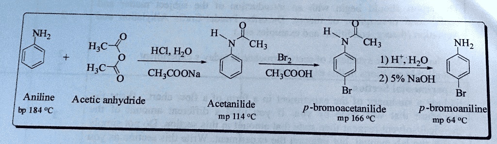 NH2 H H H?C NCH3 N CH3 NH2 HCI, H?O + H?C CH3COONa Br2 CH3COOH 1) H+, H ...