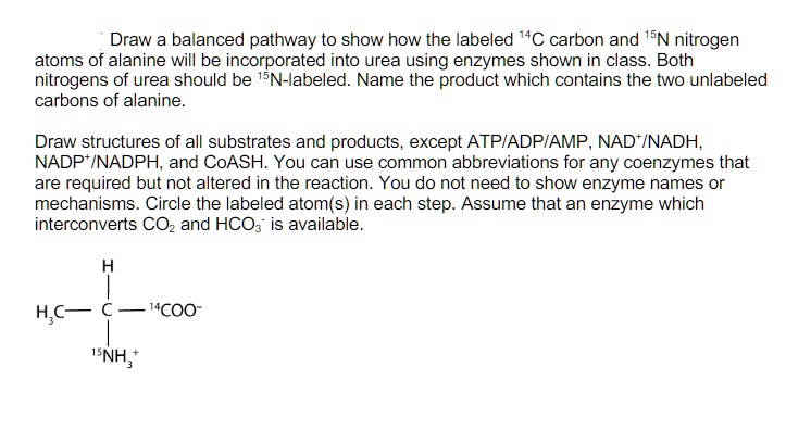 SOLVED: Draw a balanced pathway to show how the labeled 14C carbon and ...