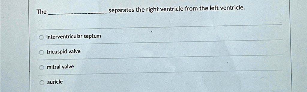 The separates the right ventricle from the left ventricle ...