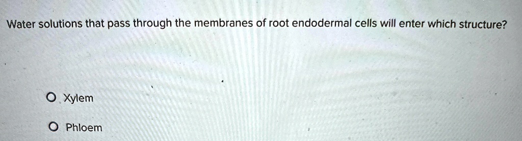 water solutions that pass through the membranes of root endodermal ...