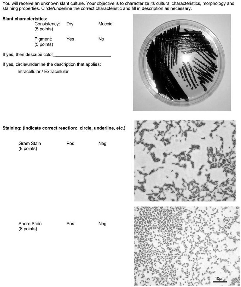 SOLVED: You will receive an unknown slant culture Your objective is to ...