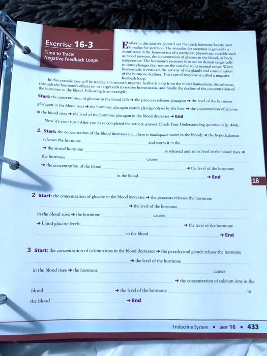 Exercise 16-3 Time to Trace! Negative Feedback Loops Eearlier in this ...