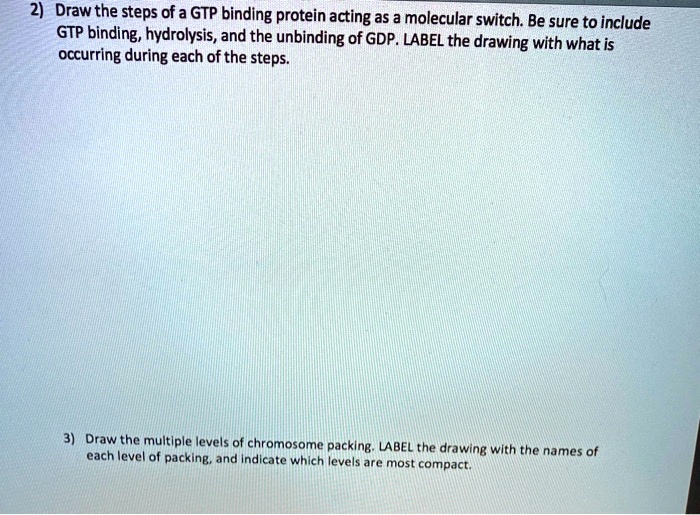 SOLVED: Draw the steps of a GTP binding protein acting as a molecular ...