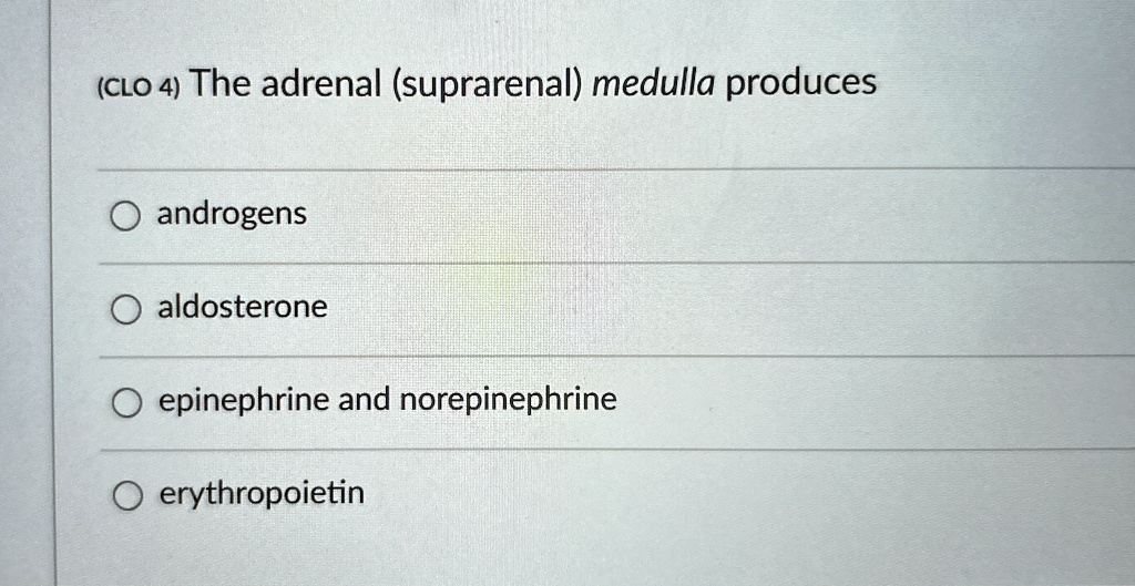 clo 4 the adrenal suprarenal medulla produces o androgens aldosterone ...