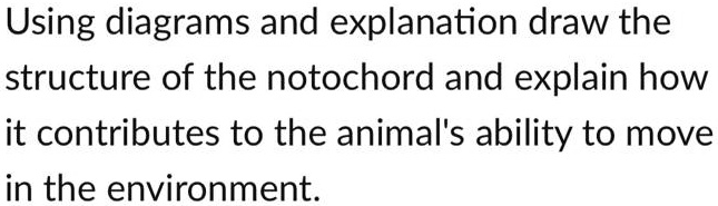 using diagrams and explanation draw the structure of the notochord and ...
