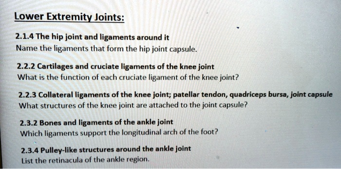 SOLVED: Lower Extremity Joints: 2.1.4 The hip joint and ligaments ...