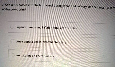 7 as a fetus passes into the birth canal during labor and delivery its ...