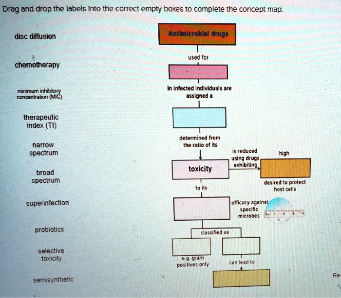 SOLVED: Drag and drop the labels into the correct empty boxes to complete the concept map ...