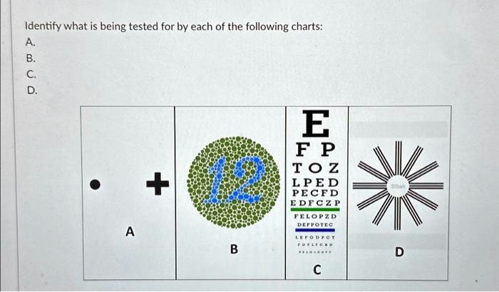 SOLVED: Identify what is being tested for by each of the following ...