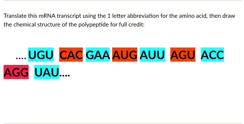 SOLVED: Translate this mRNA transcript using the 1-letter abbreviation ...