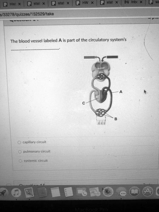 SOLVED: iate Inb * 6 Akt * 5/33278/qu1zz05/152529/teke The blood vessel ...