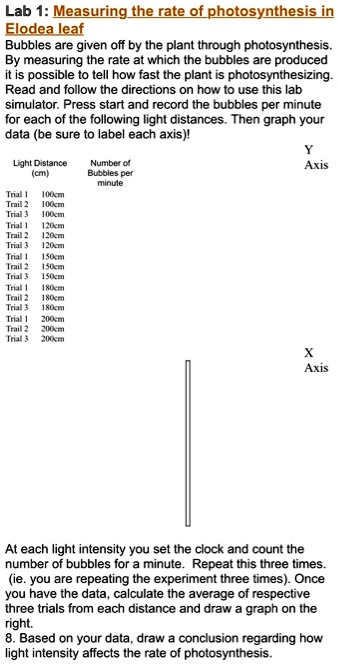 SOLVED: Lab 1: Measuring the rate of photosynthesis in Elodea leaf ...