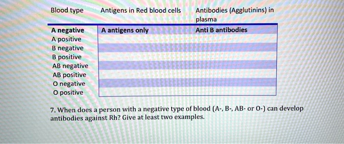 blood type antigens in red blood cells antibodies agglutinins in plasma ...